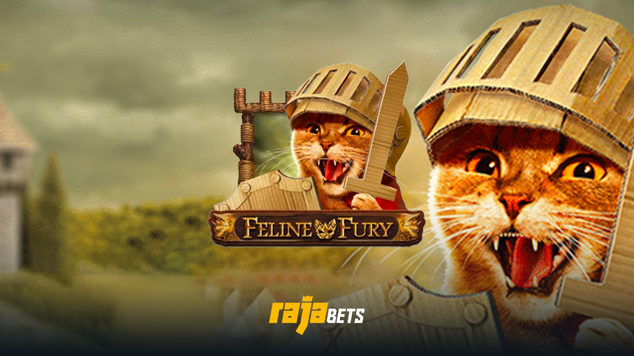 Feline Fury – Rajabets Official Blog