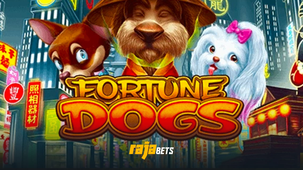Fortune Dogs – Rajabets Official Blog